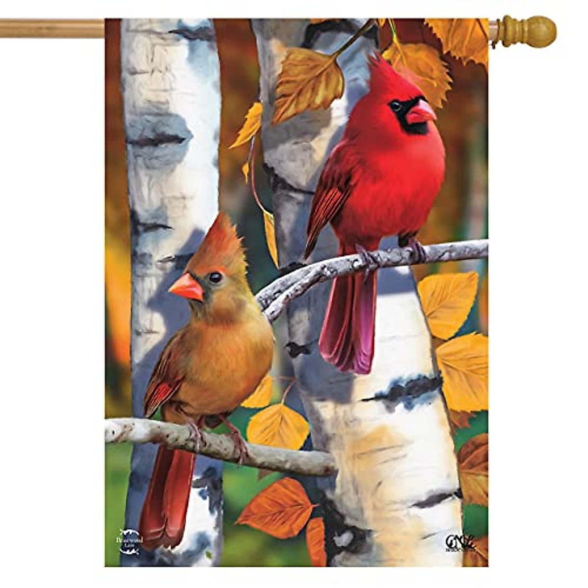 Birch Tree Cardinals Fall House Flag 28" x 40" Autumn Leaves Briarwood Lane