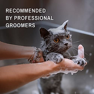 Eye Envy Tear Stain Facial Cleanser for Dogs and Cats | Washes Away Crusty Eye Debris, Eye Boogers and Eye Discharge | Tearless Foaming Formula | Treats The Cause of Staining | 100% Natural