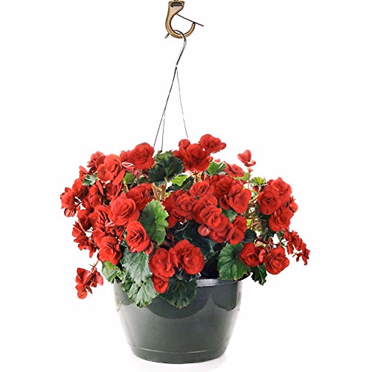 2IN Safety Cup Windproof Hooks,15 Pieces Metal Ceiling Hooks Heavy Duty Windproof Metal Hooks Screw Outdoor Indoor Porch Bathroom Kitchen Wall Hang Hooks Set for Coffee Tea Cup, Plant, Light, Mug