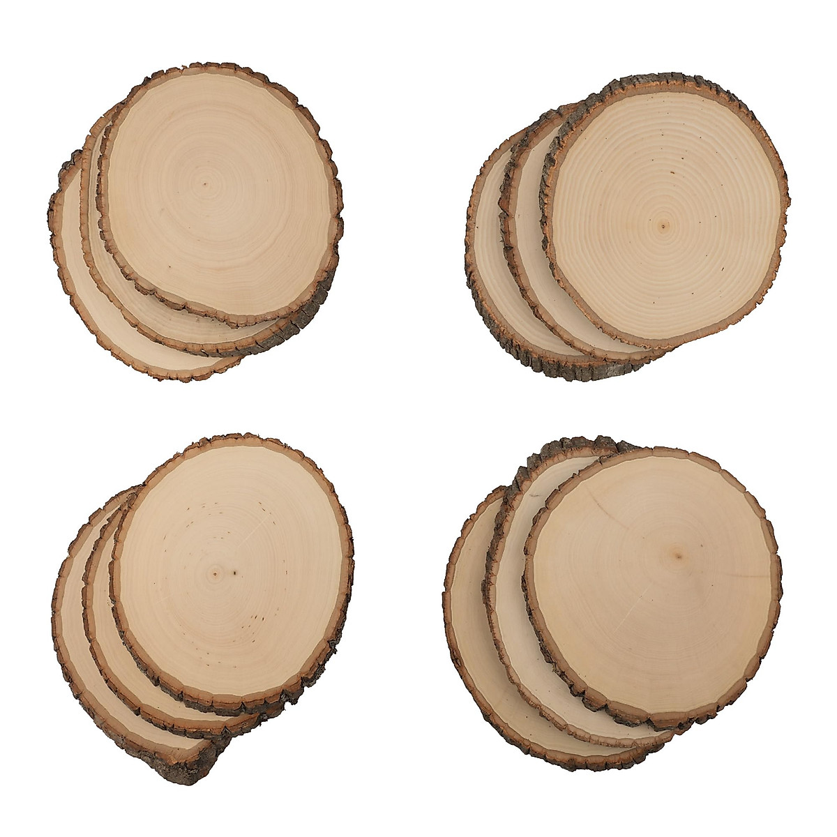 Walnut Hollow Medium Basswood Rustic Round Wood Slices with Live Edge Bark, Bulk Value Pack, 12-Pack