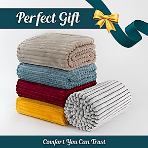 PAVILIA Cozy Fleece Blanket Throw | Fuzzy, Super Soft, Plush, Luxury Flannel Throw | Warm Ribbed Microfiber Blanket for Sofa Couch Bed (Emerald Green, 50x60 inches)