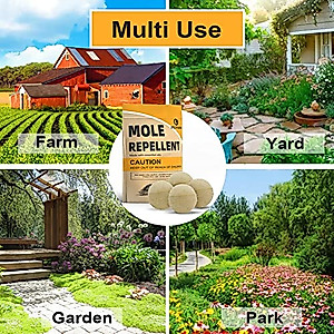 Pufado Mole Repellent, Vole Repellent Outdoor, Gopher Repellent, Mole Repellant for Lawn, Mole Deterrent for Yard, Mole Control, Keep Mole and Vole Out of Your Garden, Safe Around Pet & Plant -4 Packs