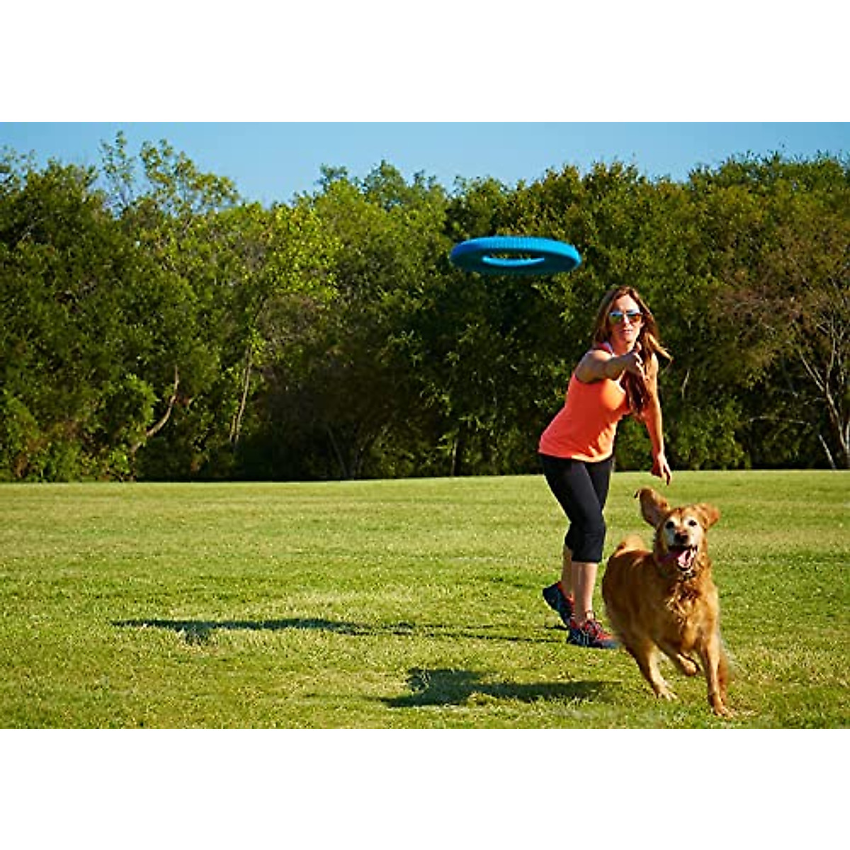 Chuckit Rugged Flyer Dog Toy, Medium, Assorted Colors