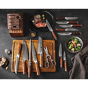 XINZUO Damascus 15-pc Kitchen Knife Set with Acacia Wood Knife Block, 67 Layers Damascus Steel Sharp Professional Cooking Knife Set -Multifunctional Kitchen Shears and Honing Steel -Rosewood Handle