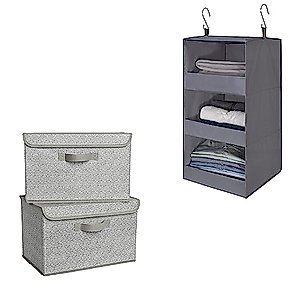 GRANNY SAYS Bundle of 2-Pack Storage Bins with Lids Large & 1-Pack Hanging Closet Organizer