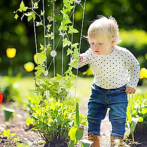 XYADX Metal Detachable Trapezoidal Garden Trellis for Climbing Plants, 60 Inches Sturdy Patio Plant Support for Indoor Plants Trellis for Rose, Vegetable Flower, Backyard Pack of 2 - White