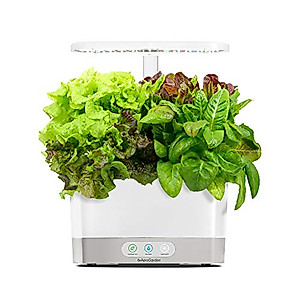 AeroGarden Harvest with Gourmet Herb Seed Pod Kit - Hydroponic Indoor Garden, White & Grow Anything Seed Pod Kit for Hydroponic Indoor Garden, 9-Pod