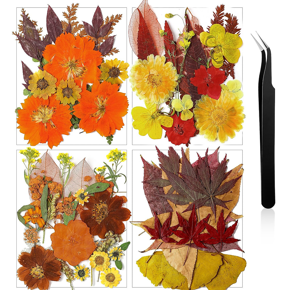 Pressed Flowers Bulk Dried Flower for Resin Mold, Dried Flower Leave Natural with Tweezer for Crafts Christmas DIY Gift Scrapbooking(Graceful Style)