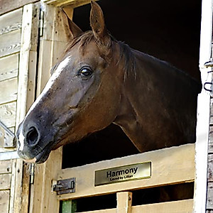 LHS | Horse Stall Name Plate, 2x8 Personalized Stall Signs, UV Protected, All Weather Adhesive, Hanging, Mounting or Other, Plastic with Red Letters | Made in USA - B19