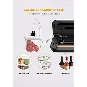 MegaWise Powerful and Compact Vacuum Sealer Machine (Silver)