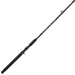 Zebco Big Cat Casting Fishing Rod, 8-Foot 2-Piece Fiberglass Fishing Pole, High-Visibility Rod Tip, Extended EVA Rod Handle, Shock-Ring Guides, Medium-Heavy Power, Black/Green