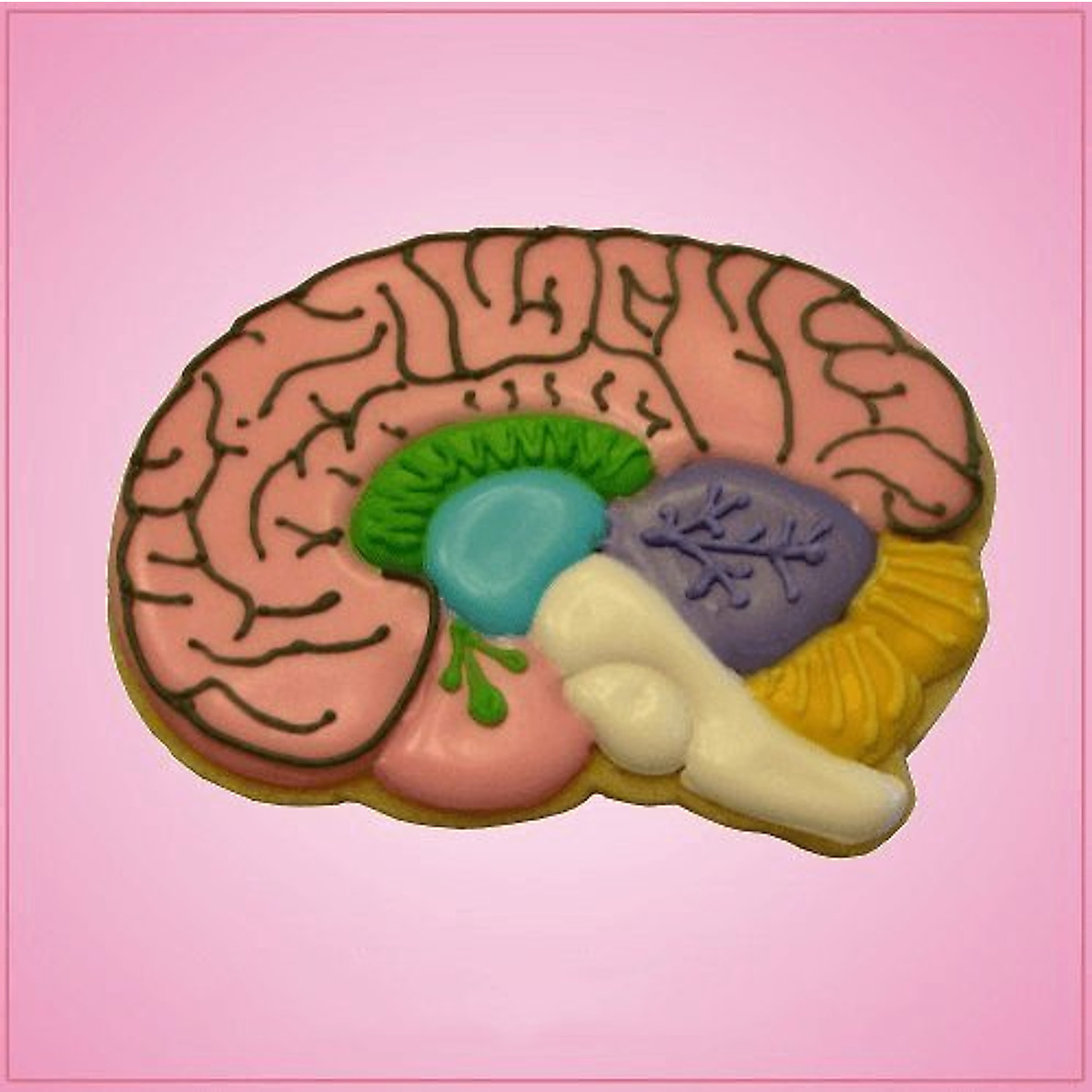 Brain Cookie Cutter-aluminum 3-1/4Inch tall, 4Inch wide