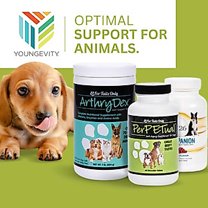 Youngevity Perpetual™ - Maximum Strength Anti-Aging Dog Bone & Joint Support - with Glucosamine, Choline, MSM, Milk Thistle, Calcium, Turmeric & More - 60 Chewable Tablets
