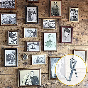 100pcs Picture Hangers,30lbs Picture Hanging Hooks with Nails, FUZANWJ Professional Picture Hanging Kit on Wood/Drywall (30lbs-100pcs)
