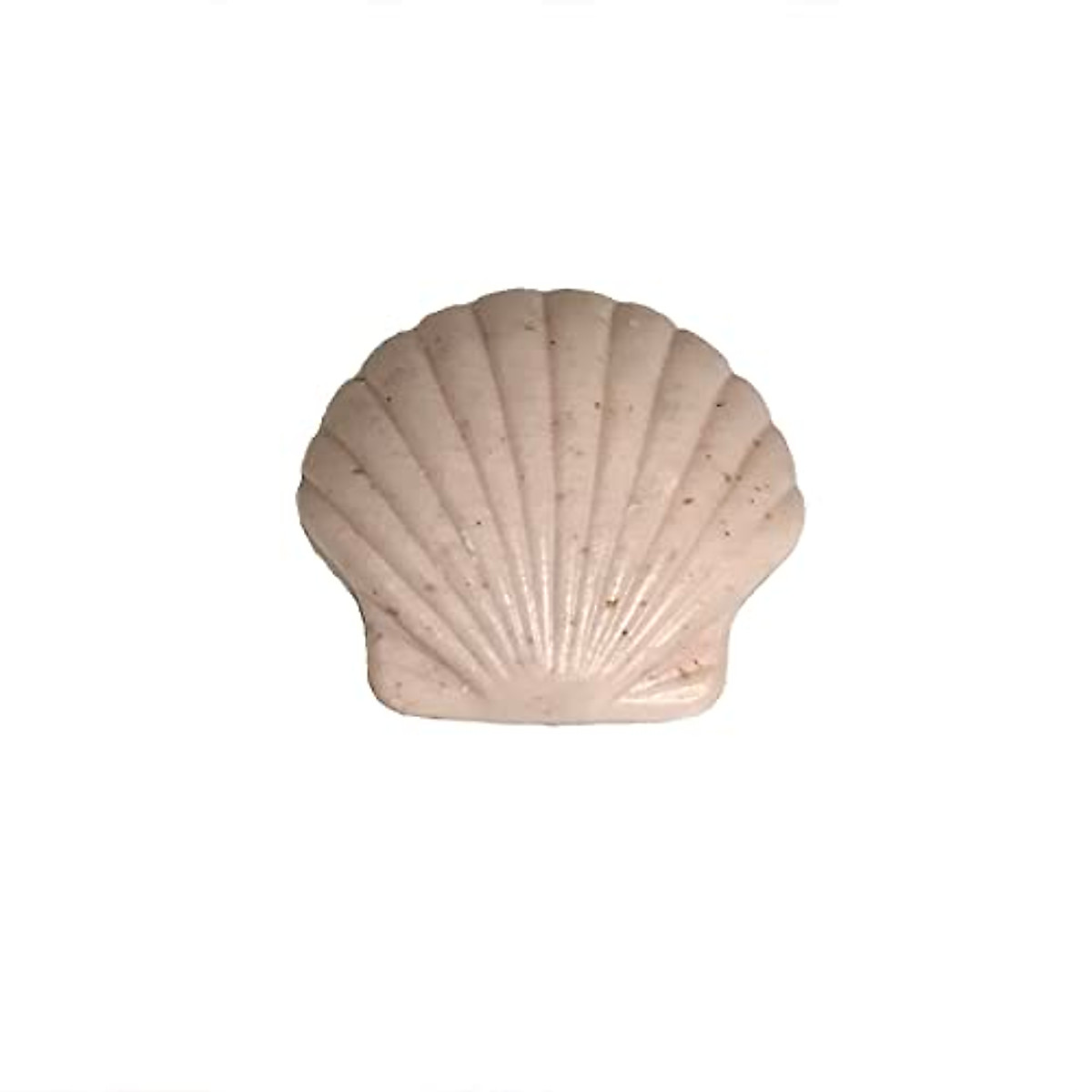 Greenwich Bay - 4.3 oz. Seashell Scented Shea Butter Soap - Sugar Soleil