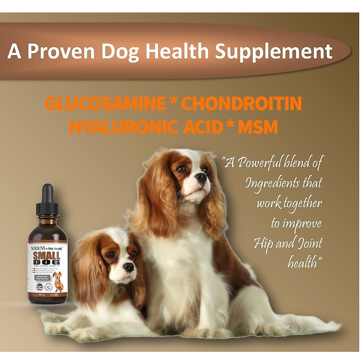 NODENS Small Dog Hip and Joint Liquid Glucosamine for Dogs with Chondroitin – Small Dog Joint Supplement for Natural Dog Pain Relief Anti-inflammatory for Improved Joint Flexibility and Mobility 59ml