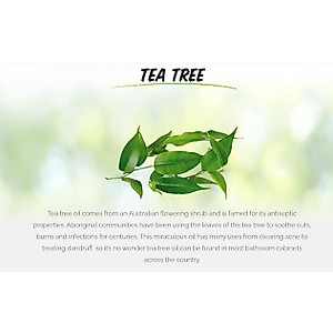 7th Heaven Tea Tree Easy Peel-Off Face Mask, Parabens Free, Green, 3-Pack of 0.3 Fl Oz each, 3 Sachets