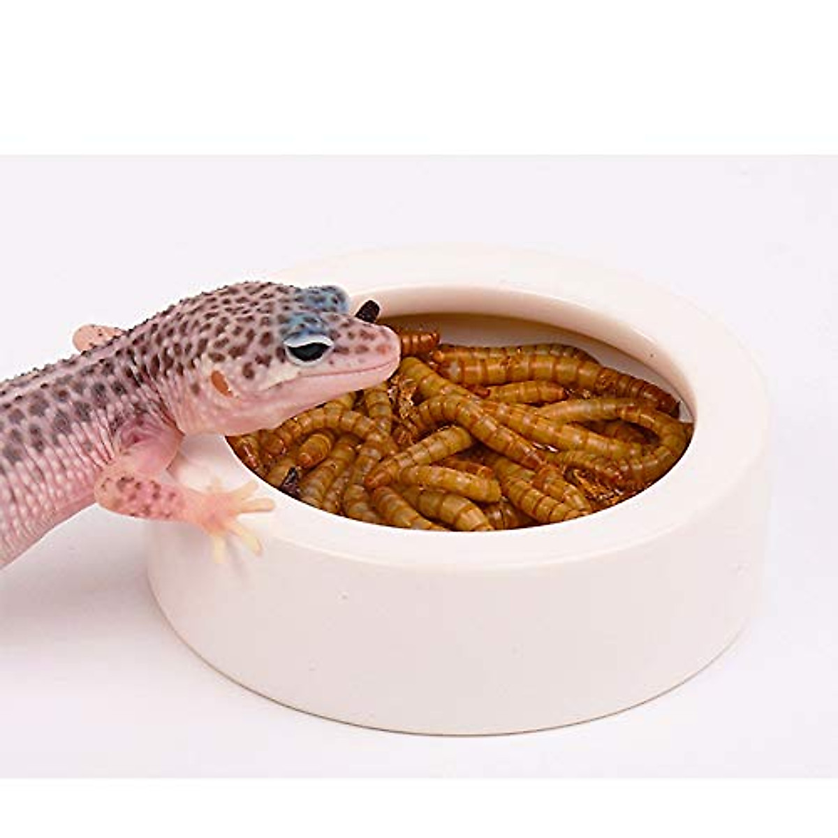 Reptile Food Water Bowl, 2 pcs Ceramics Worm Dish ,Anti-Escape Reptile Water Feeder ,Mealworm Bowl for Lizard Gecko Bearded Dragon, (S,M,L) (Large)