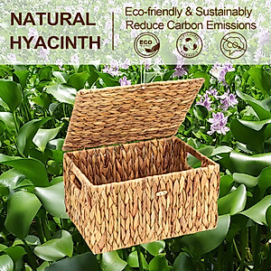 FairyHaus Wicker Storage Basket with Lid, Water Hyacinth Wicker Basket with Lid and Handles, Large and Small Wicker Baskets with Lids 2Pack, 13"x10"x7" & 11.2"x8.3"x5.7"