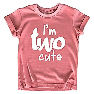 2nd Birthday Outfits for Toddler Girls im Two Cute Shirt Girl 2 Year olds Second (Mauve, 2 Years)