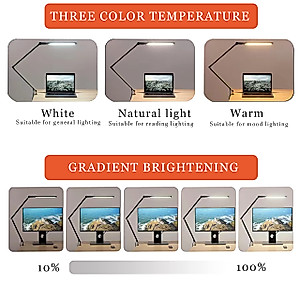 Desk Lamp with Clamp Eye-Care Swing Arm Desk Lamp Stepless Dimming Adjustable Color Temperature Modern Architect Lamp with Memory Timing Function for Study