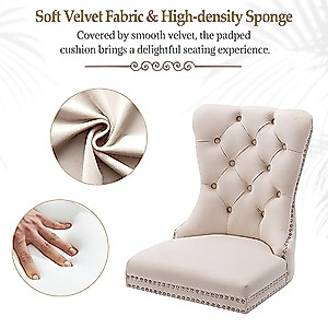 civama Velvet Dining Chairs Set of 6, Upholstered Tufted Dining Chairs with Nailhead Trim Back Pull Ring, Nikki Collection Elegant Armless Kitchen Chair with Solid Wood Legs, Beige