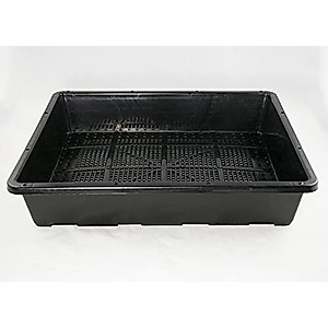 Calibonsai 2 x Black Plastic Tray for Propagation, Bonsai Forest/Group Planting 15"x 12"x 3"
