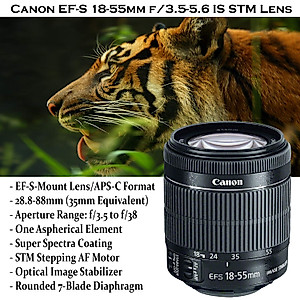 Canon EOS 90D Digital SLR Camera & 18-55mm STM Lens Bundle with Battery Grip & Professional Accessory Bundle (16 Items)