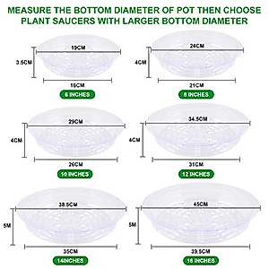 5 Pack Clear Plant Saucer Heavy Duty Sturdy Drip Trays for Indoor and Outdoor Plants