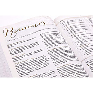 Biblia Reina Valera 1960 de Estudio para Mujeres, Tapa dura | RVR 1960 Women Study Bibl, Hardcover (Spanish Edition)