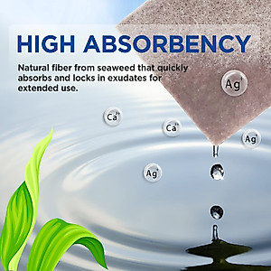 Ceeport Ag Silver Calcium Alginate Wound Dressing Pads 3'' x 3'' (Pack of 10), Soft Highly Absorbent Silver Wound Dressing, Non-Adhesive Dressing for Wound Care, Painless Removal Gauze Pads for Wounds