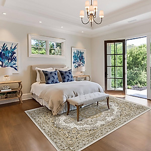 9x12 Area Rug for Living Room: Large Rugs Machine Washable with Non-Slip Backing Non-Shedding Stain Resistant, Boho Carpet for Bedroom Dining Room Nursery Home Office Indoor Decor (Beige)…