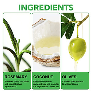 Organics Rosemary Biotin Strengthening Conditioner, Promotes Hair Growth & Scalp Health, Smooth Conditioner for Dry and Crinkled Hair, Hair Loss Conditioner Knots & Split Ends Hair Treatment, 10.56 Oz