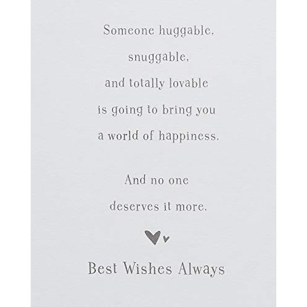 American Greetings Baby Shower Card (Totally Loveable)