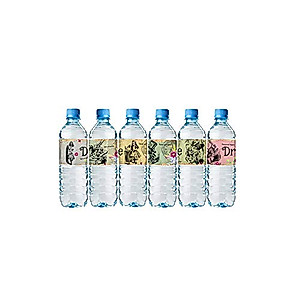 Alice in Wonderland Bottle Wraps - 24 Alice Water Bottle Labels - 8 Different Amazing layouts