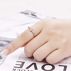 PAKULA Rose Gold Plated Women Cubic Zirconia CZ Dainty Knuckle Band Stacking Midi Promise Ring for Her (White, 8)