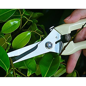 spdtech Straight Garden Scissors Sharp Garden Shears for Cutting Flowers Trimming Plants Bonsai Fruits Picking White