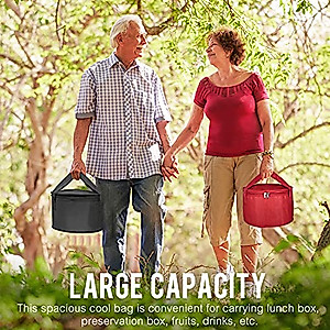 2 Pack 11X7 inch Round Insulated Thermal Pie Carrier Slow Cooker Bag,Reusable Insulated Cake Carriers Casserole Carrier Cooler Bags for Potluck,Picnics,Collapsible Lunch bag for Delivery (Black Color)