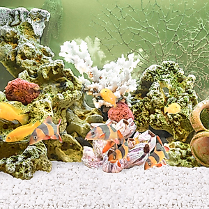 GASPRO 5 Pound Aquarium Gravel and White Pebbles, White Rocks for Plants, Vases, Natural Decorative Pebbles for Succulents, Terrarium, Cactus