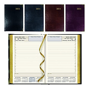Brownline 2023 Executive Daily Planner, Appointment Book, 12 Months, January to December, Sewn Binding, 7.125" x 4.875", Assorted Colors, Trilingual (CBE504.ASX-23)