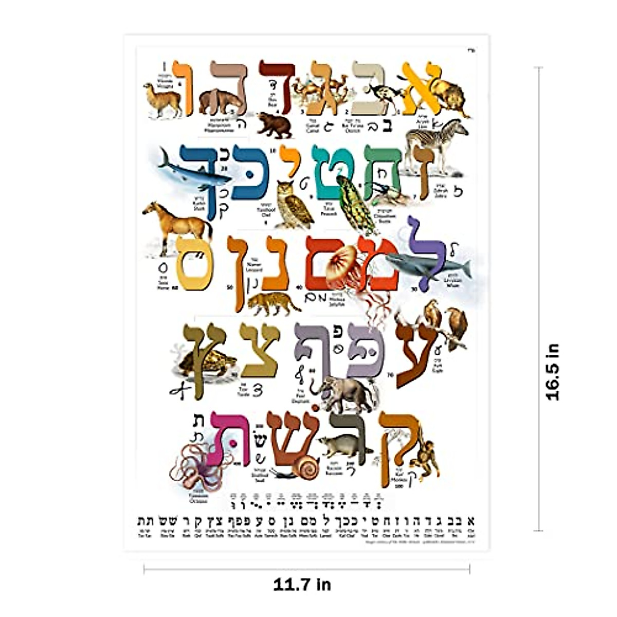 Hebrew Aleph Bet (Alef Bet) Animal Poster/Chart for Children with Print & Cursive Hebrew Alphabet (A3 11.7 x 16.5 in) Perfect for Hebrew Language Learner Beginners