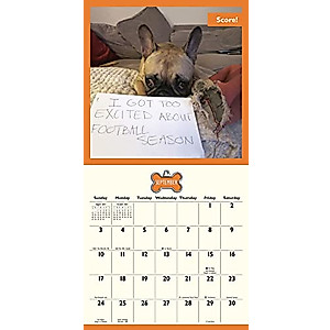 Dog Shaming 2023 Mini Wall Calendar
