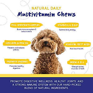 PupGrade 2-Pack Daily Multivitamin & Digestive Support Supplement for Dogs - All-in-One Formula for Digestive, Immune System, Skin & Coat Health- with Probiotics, Prebiotics, Enzymes - Made in USA - 9