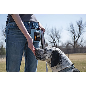 OllyDog Goodie Treat Bag, Dog Treat Pouch, Waist Belt Clip for Hands-Free Training, Magnetic Closure, Dog Training and Behavior Aids, Three Ways to Wear (Pacific Coast)