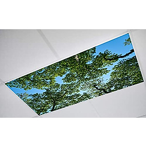 ShadeMAGIC - 4 Pack - Fluorescent Light Covers - 2x4 Film Insert for Ceiling Light Diffuser Panels - Tree Design - Classrooms and Offices - Decorative Lighting