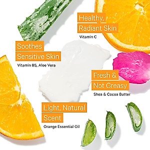 Tree to Tub Shea Body Butter for Dry, Extremely Dry, Sensitive Skin - Moisturizing Body Cream for Women & Men, Hydrating Body Lotion Moisturizer w/Vitamin C, Organic Cocoa, Citrus Scent