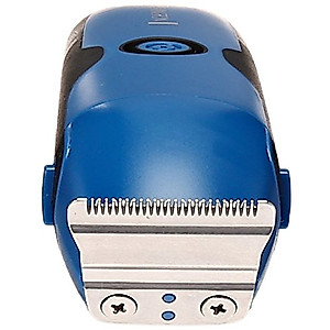 Remington PG6250 WetTech Lithium Powered Head, Beard, & Body Grooming Kit, Trimmer (8 Pieces)