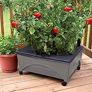 Emsco Group City Picker Raised Bed Grow Box – Self Watering and Improved Aeration – Mobile Unit with Casters - Slate