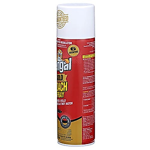 Bengal Gold Roach Spray, Odorless Stain-Free Dry Aerosol Killer Spray with Insect Growth Regulator, 11 Oz. Aerosol Can