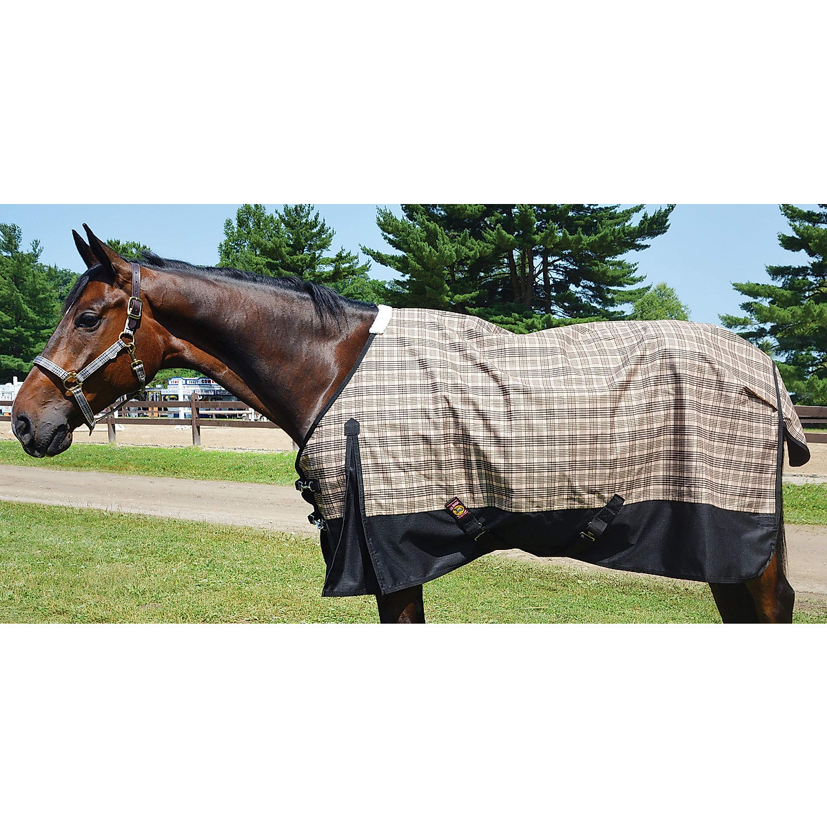5/A Baker Turnout Sheet for Horses Black Label - Size 80 Plaid